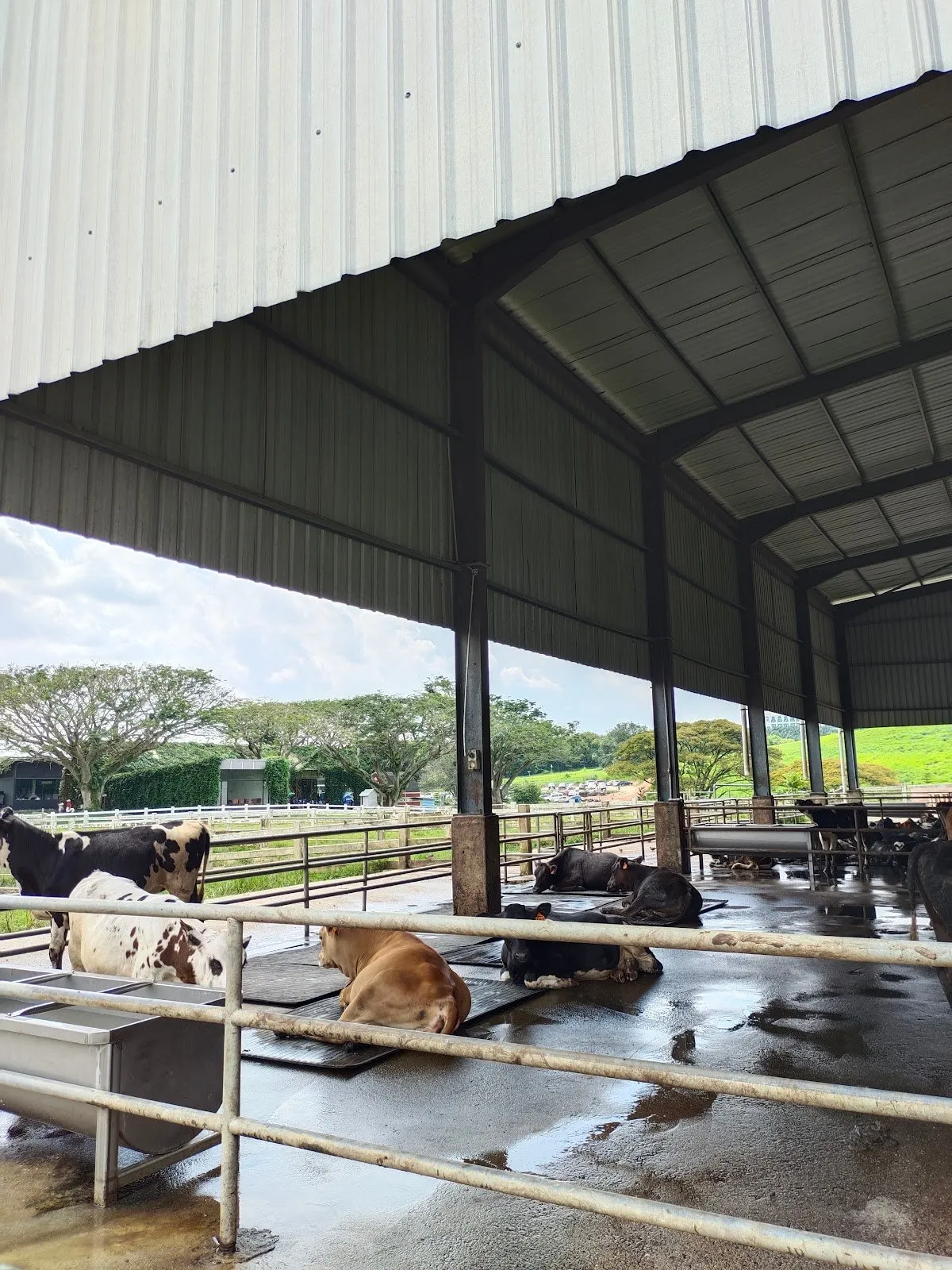 FARM FRESH @ UPM (Industry Centre of Excellence, ICoE), Wisata Ramah ...