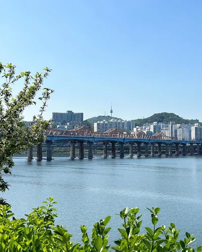Jamwon Hangang Park, Halal-Friendly Things to Do in Seoul | Have Halal ...