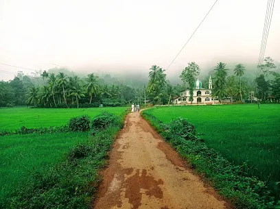 Horagoda Meera Jumma Masjid, Mosques & Prayer Spaces in Sri Lanka ...