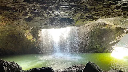Springbrook National Park, Halal-Friendly Things to Do in Gold Coast ...