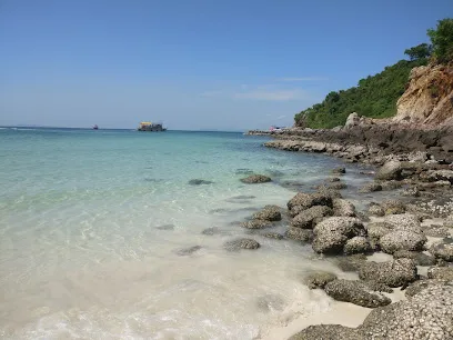 Ko sak, Halal-Friendly Things to Do in Pattaya | Have Halal Will Travel