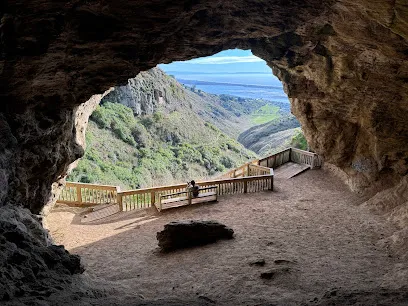 Barnett Park Cave, Halal-Friendly Things to Do in Christchurch | Have ...