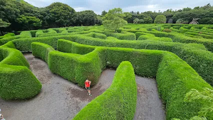 Maze Land, Halal-Friendly Things to Do in Jeju | Have Halal Will Travel