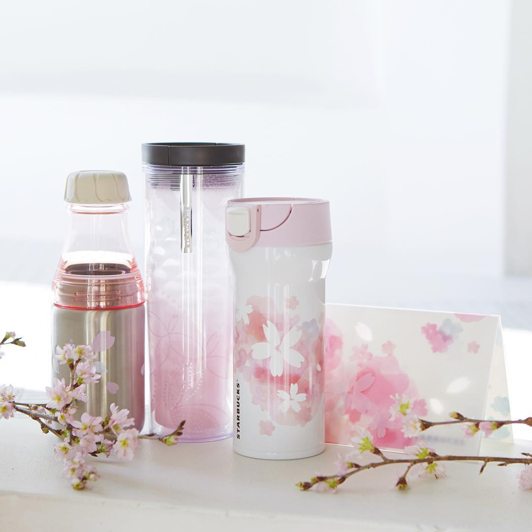 5 Signs Of Cherry Blossom Season