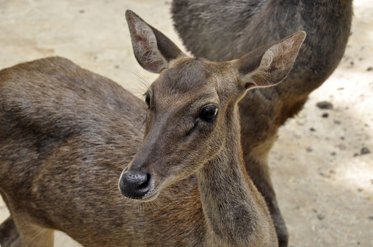 6 Family Destinations In Malaysia