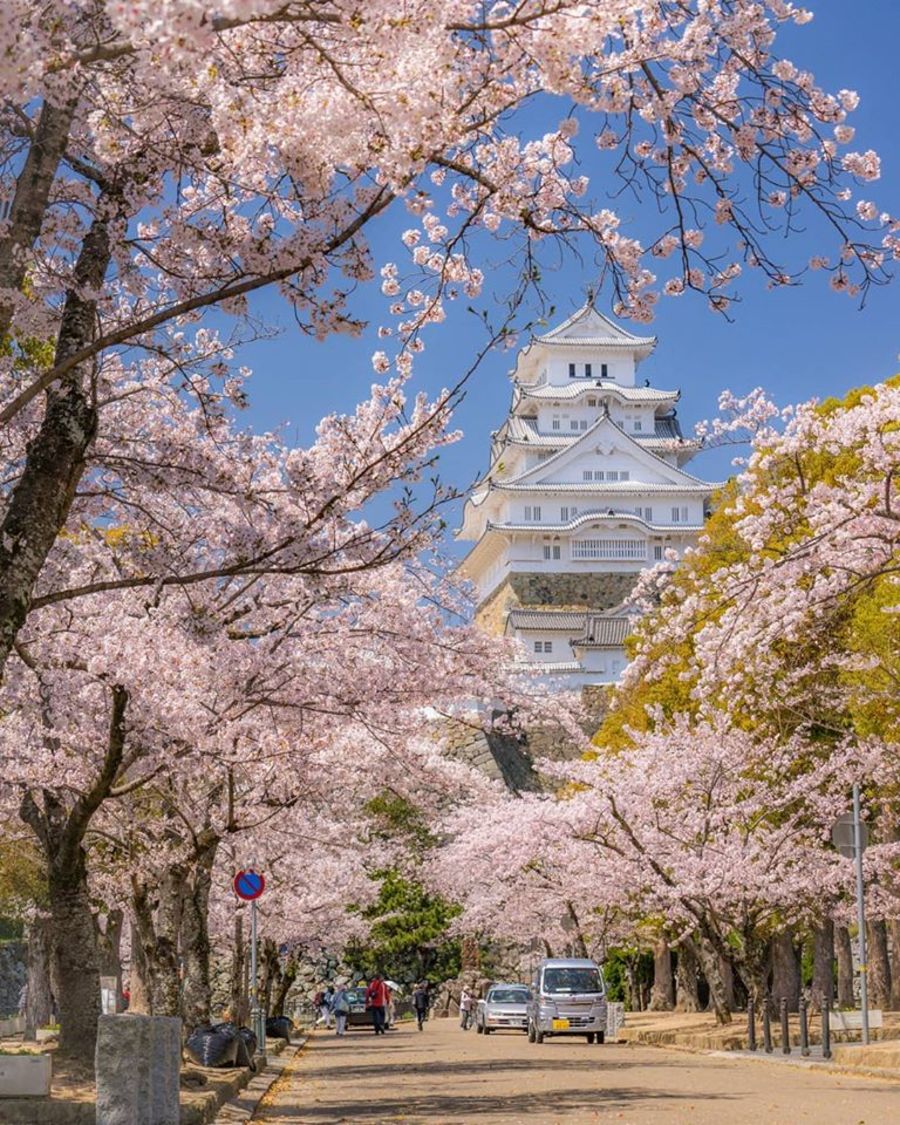 10 Most Beautiful Places In Japan That'll Fuel Your Wanderlust