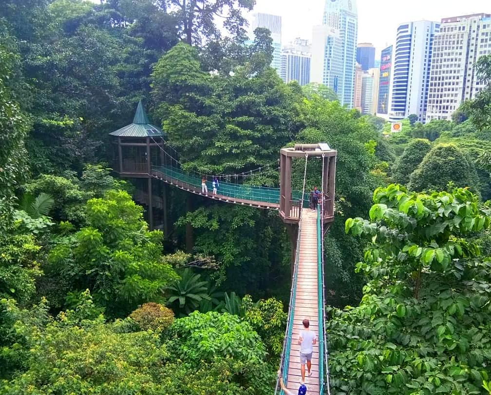 7 Best Rainforest Canopy Walks In Malaysia